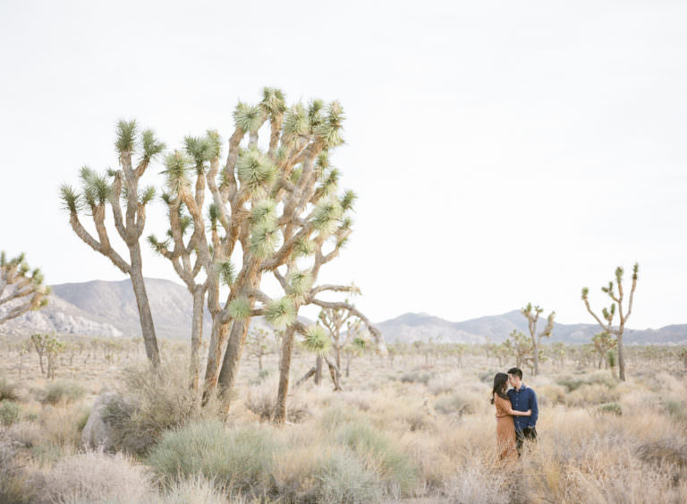 AMY & MARIO | JOSHUA TREE, CA | Jeremy Chou Photography | Luxury Fine ...